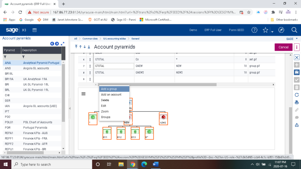 Account Pyramids in Sage X3 by Panni Management